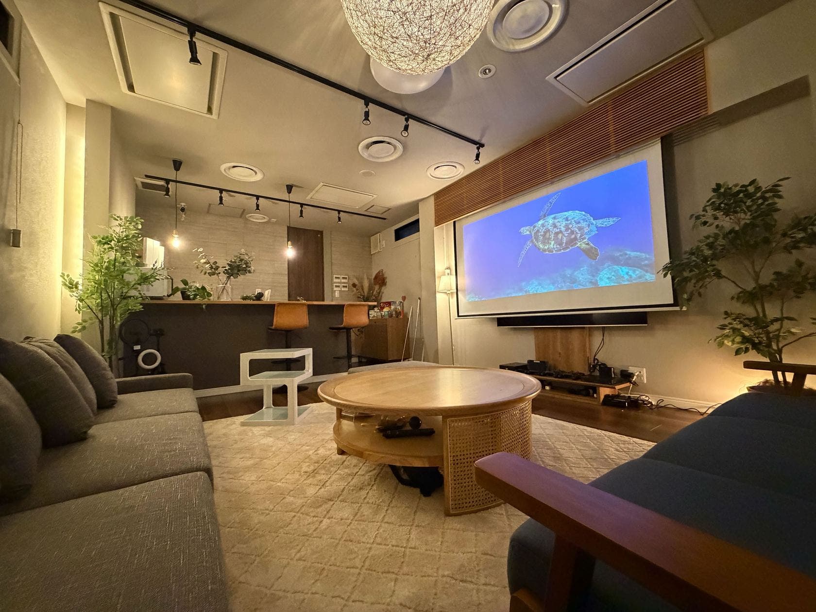 スペモ🌿クリスマス🎄歓送迎会🎊学割👨‍🎓女子会💖ママ会🍳パーティー🍾バーカウンター🥂338_Oasis六本木の写真1