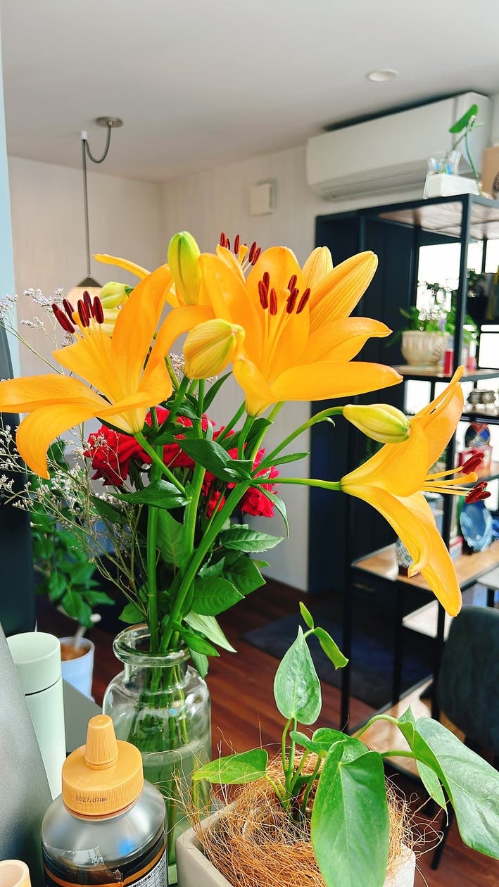 鎌倉の大仏から徒歩1分のカフェスペースの写真10