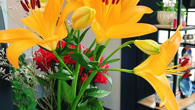 鎌倉の大仏から徒歩1分のカフェスペースの写真10