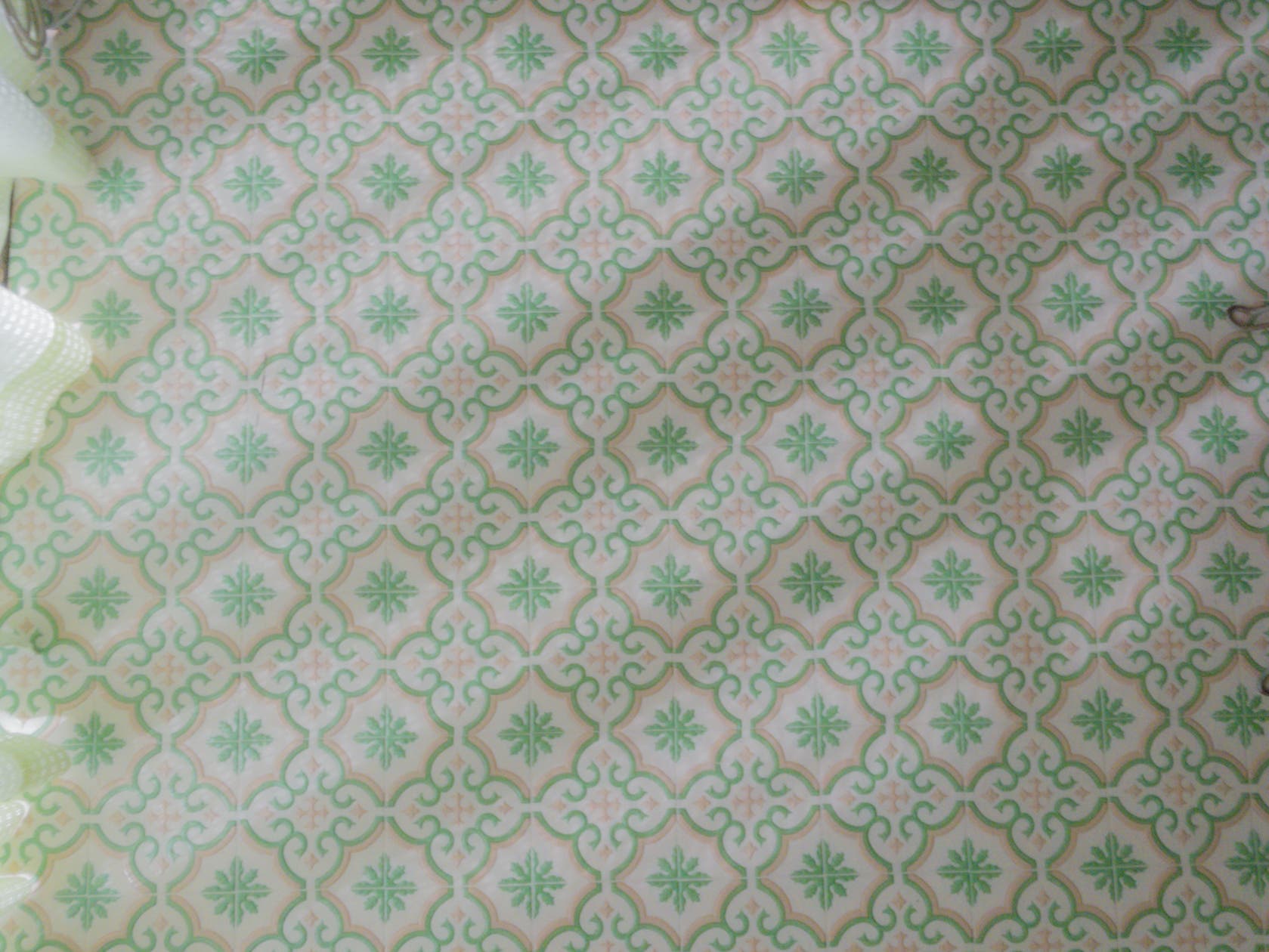 ミニ朱夏堂 #レトロポップ #自然光 #カラフル #かわいい #vinage #ペット可 #コスプレ #結婚前撮り #キッズ撮影の写真12