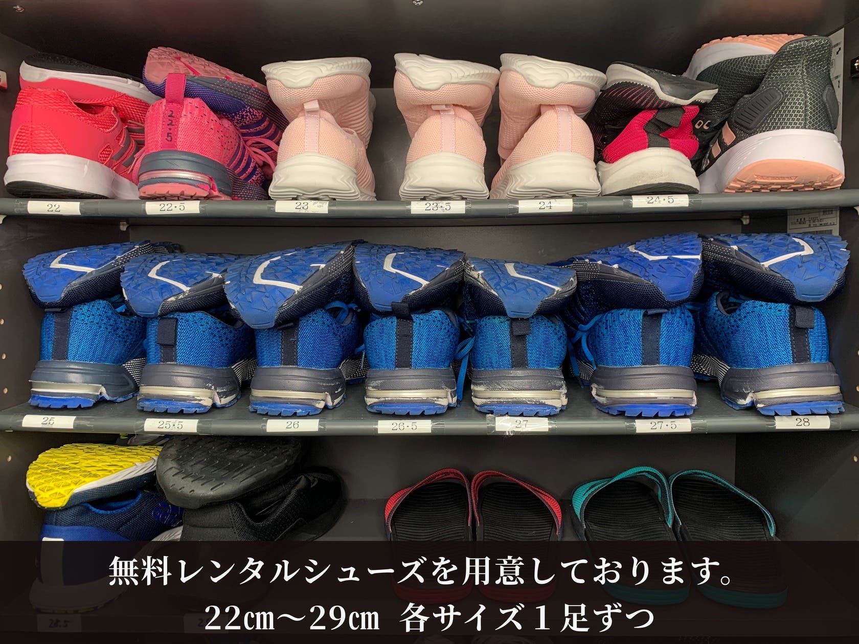 【新中野No1レンタルジム】ウェア/シューズ/タオル/水全て無料で医療用InBodyも測れる極上のジムの写真6