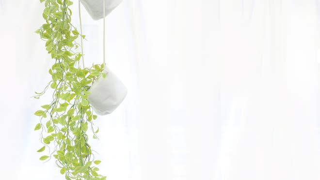 【2025年12月オープン!】水道橋駅から徒歩5分シーズスタジオ 水道橋店 / カメラ一つで撮影が出来る本格フォトスタジオの写真6