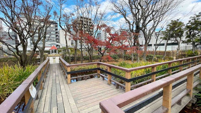 【2025年12月オープン!】水道橋駅から徒歩5分シーズスタジオ 水道橋店 / カメラ一つで撮影が出来る本格フォトスタジオの写真10