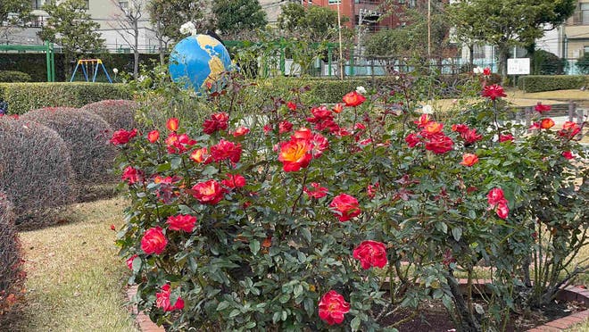 【2025年12月オープン!】水道橋駅から徒歩5分シーズスタジオ 水道橋店 / カメラ一つで撮影が出来る本格フォトスタジオの写真11