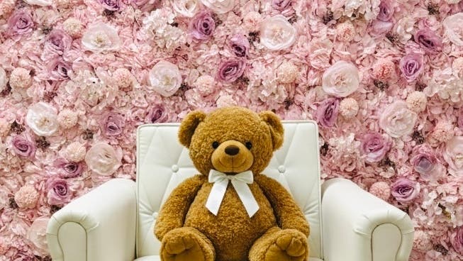 【渋谷・三軒茶屋エリア】駅2分|自然光×白壁×薔薇壁|背景7種類|手ぶら撮影OK|ポートレート・SNS・商品撮影に最適の写真6