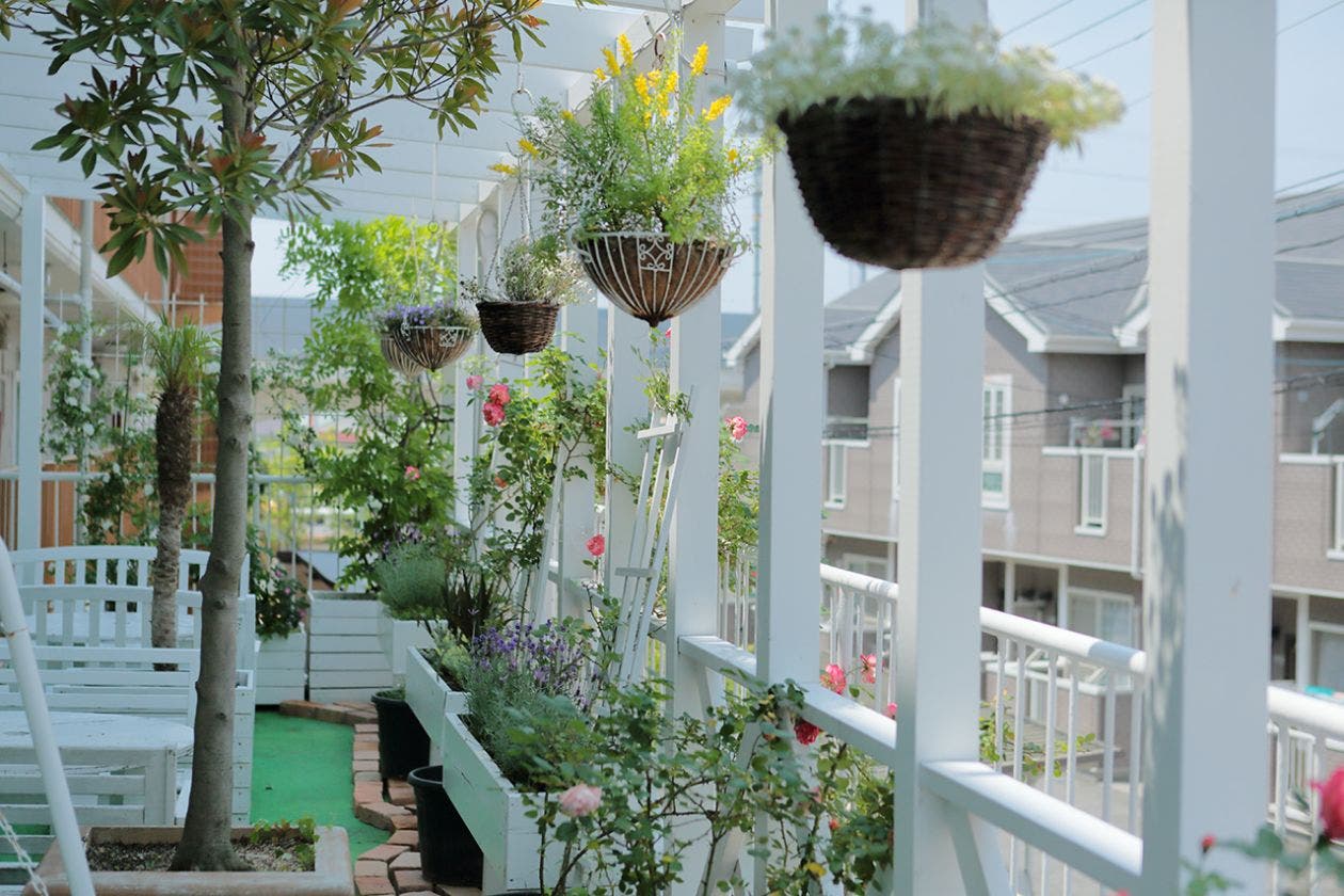 【お花見も可】四季折々のやさしさを奏でるガーデン　撮影や野外パーティにもご利用できます！！の写真7