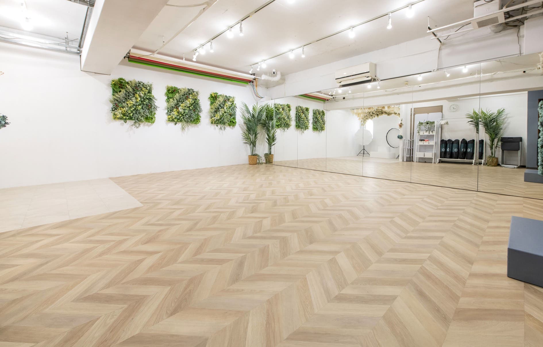 【永福町駅4分】広々40㎡超/大型鏡計6m超/調光調色/ダンス・ポージング・演劇・撮影・楽器演奏可☆/プロ監修撮影スペースも併設の写真1