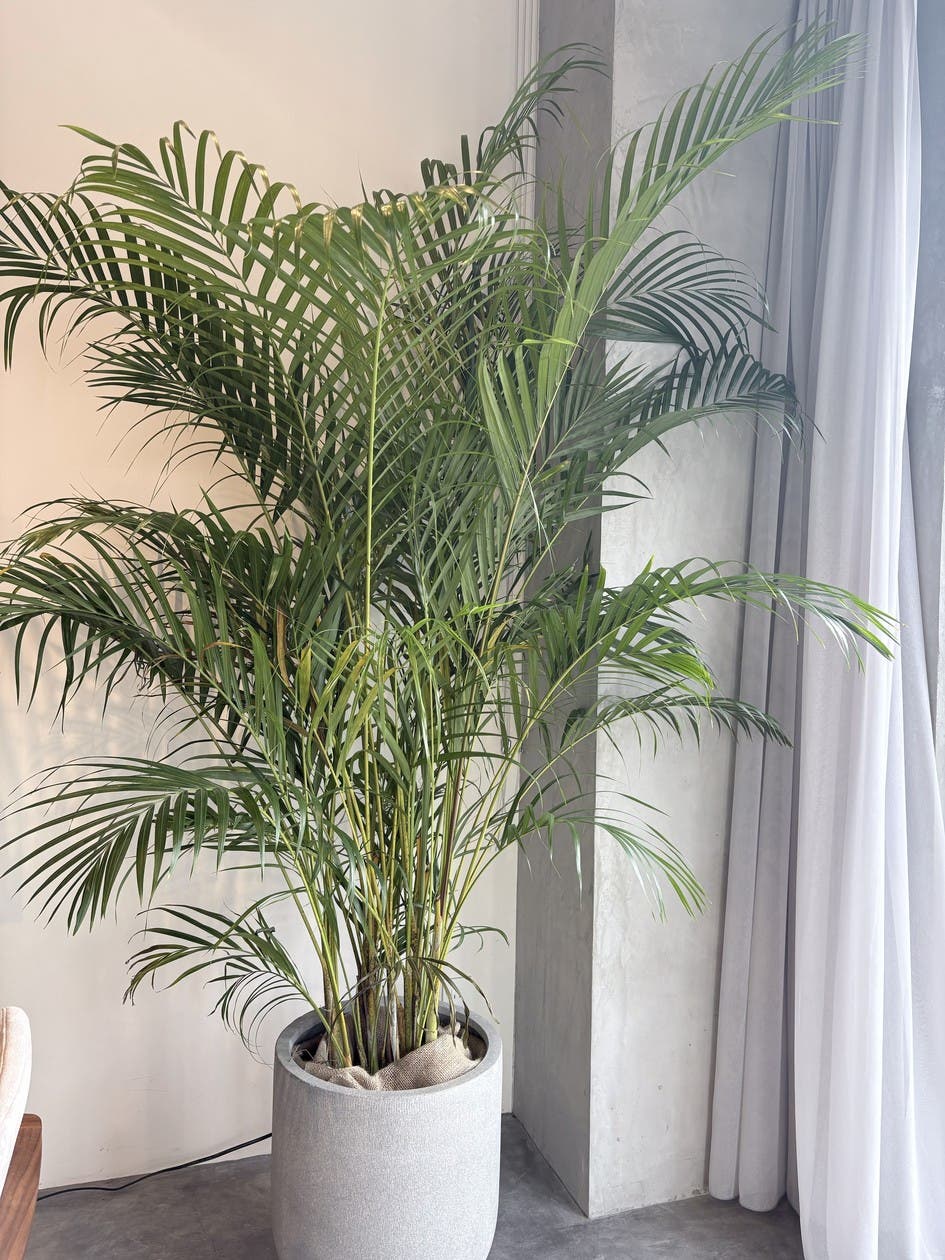 自然光×デザイン空間｜撮影・展示・イベントに使える上質ラウンジの写真14