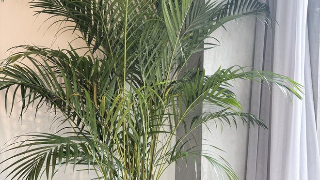 自然光×デザイン空間|撮影・展示・イベントに使える上質ラウンジの写真14