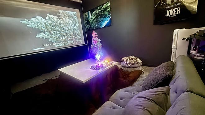 ぬくぬく🥰こたつ&クリスマス🎄ツリー装飾のお部屋でパーティー🎂✨🎞️まったりおうちデート😘✨コスプレ・推し活・動画配信の写真20