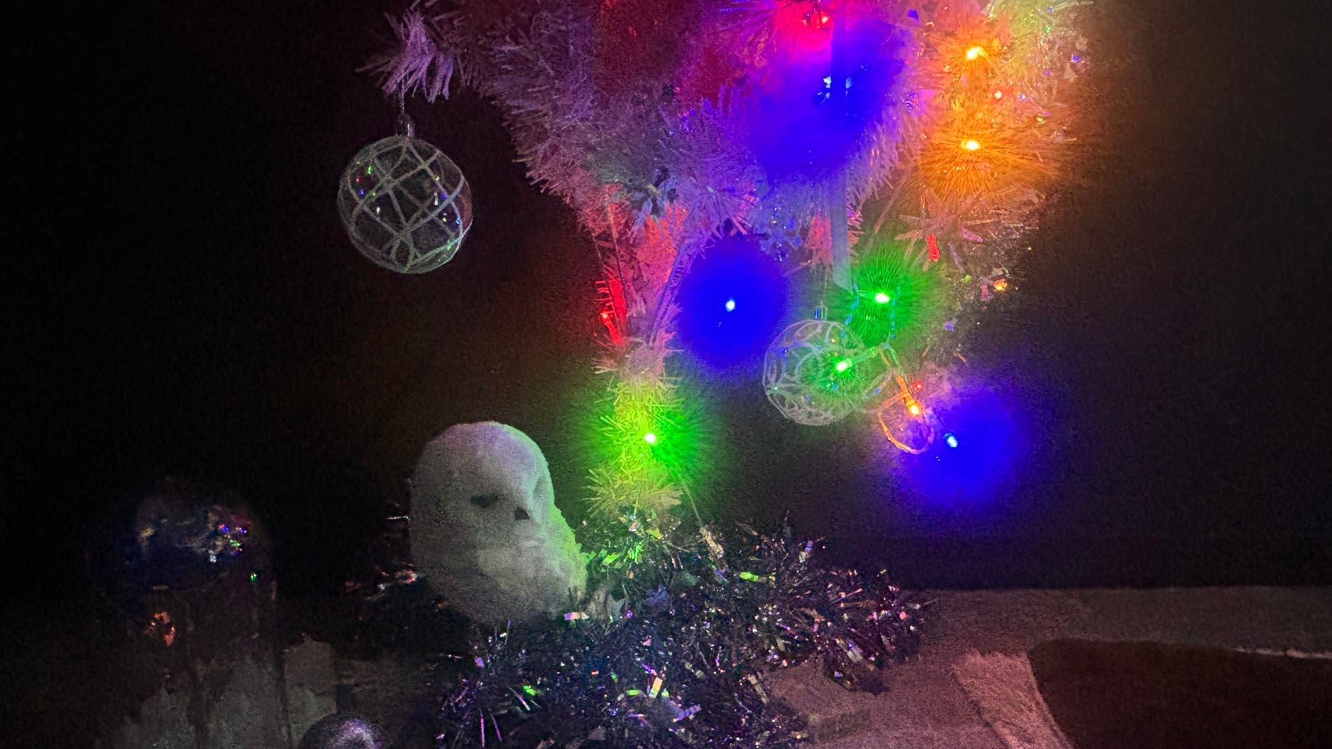 ぬくぬく🥰こたつ&クリスマス🎄ツリー装飾のお部屋でパーティー🎂✨🎞️まったりおうちデート😘✨コスプレ・推し活・動画配信の写真22