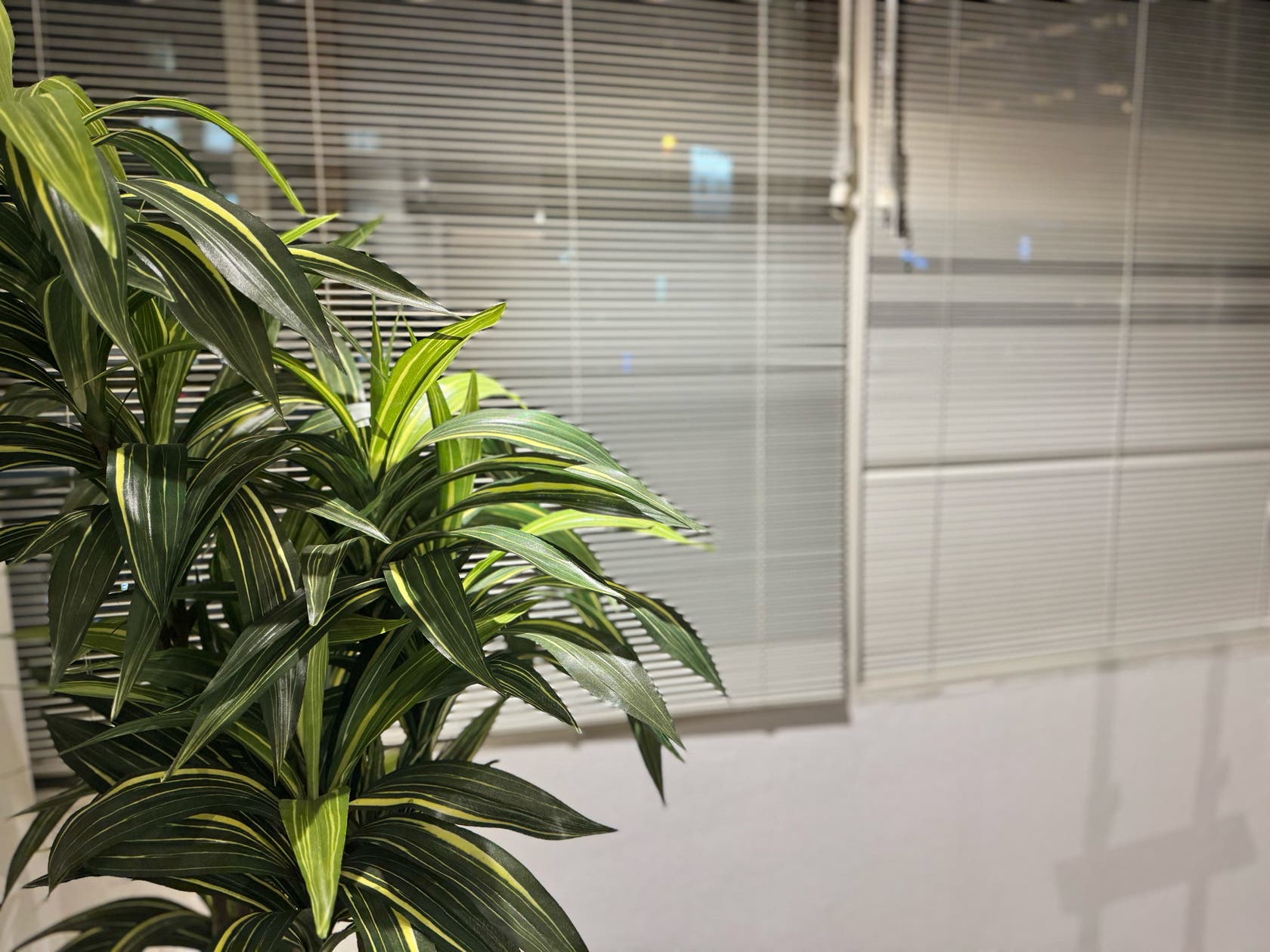 渋谷駅徒歩30秒｜24名個室｜ミーティング｜セミナー｜商談｜ボードゲーム｜推し会｜パーティー｜当日予約歓迎の写真11