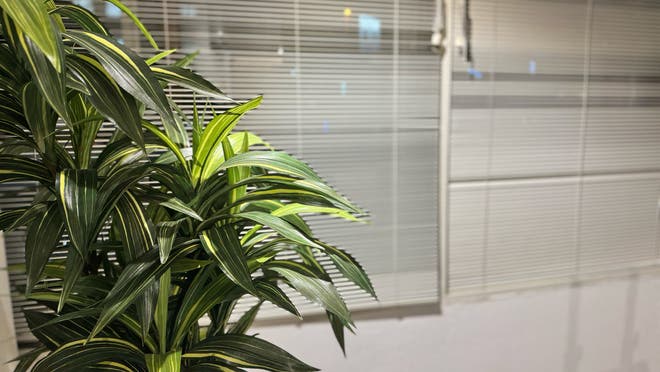 渋谷駅徒歩30秒|24名個室|ミーティング|セミナー|商談|ボードゲーム|推し会|パーティー|当日予約歓迎の写真11