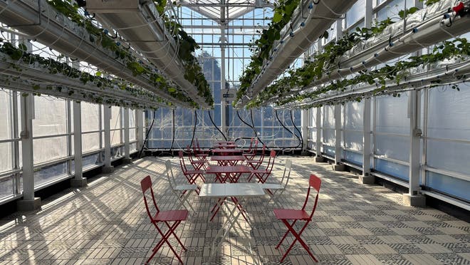 天井7.5Mから苺が吊り下がる「苺空間」を多目的にご利用可能。夜はライトアップ。湘南、貸切パーティー、ロング会議、フォト婚、苺狩の写真1