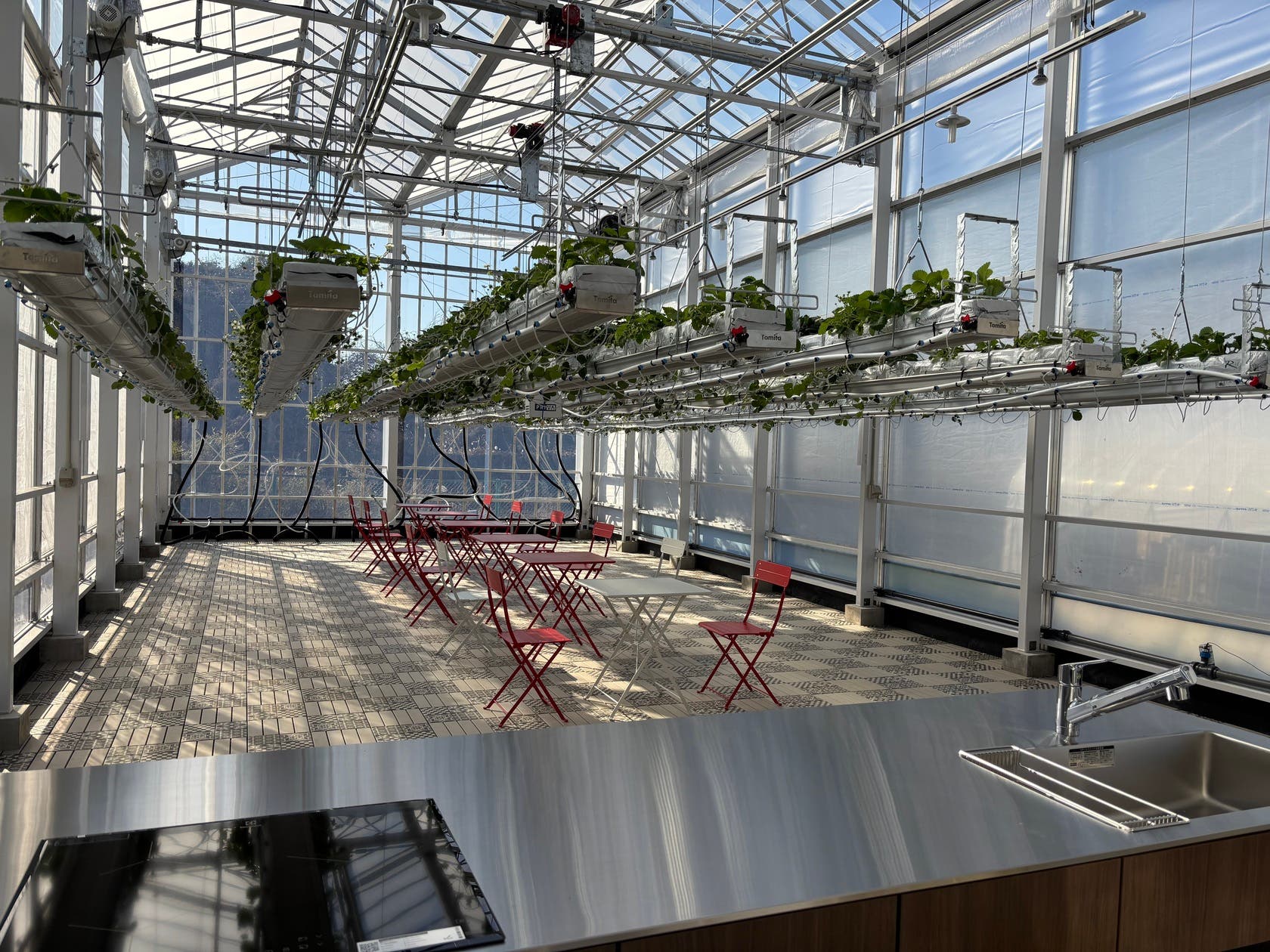 天井7.5Mから苺が吊り下がる「苺空間」を多目的にご利用可能。夜はライトアップ。湘南、貸切パーティー、ロング会議、フォト婚、苺狩の写真2