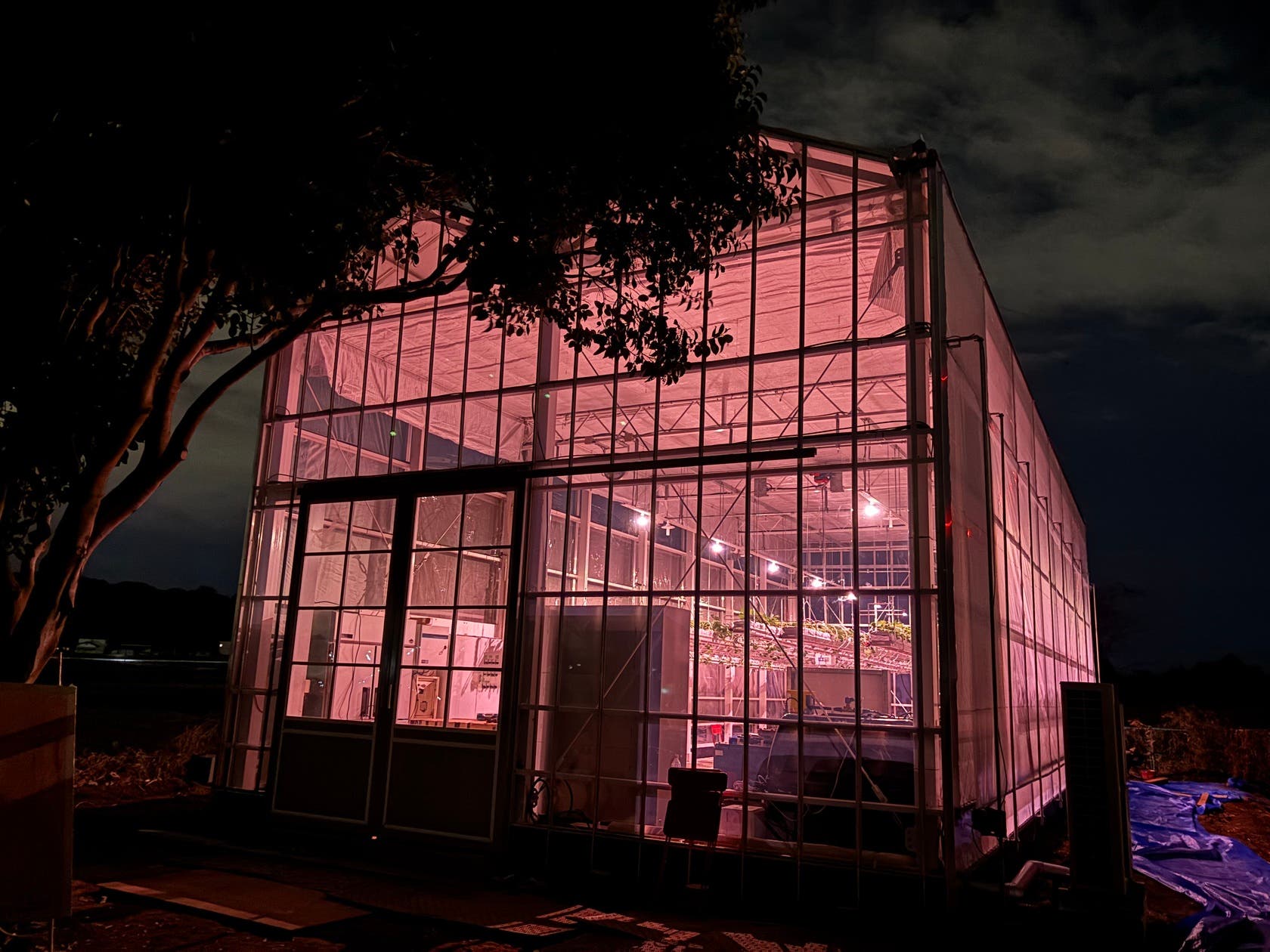 天井7.5Mから苺が吊り下がる「苺空間」を多目的にご利用可能。夜はライトアップ。湘南、貸切パーティー、ロング会議、フォト婚、苺狩の写真3