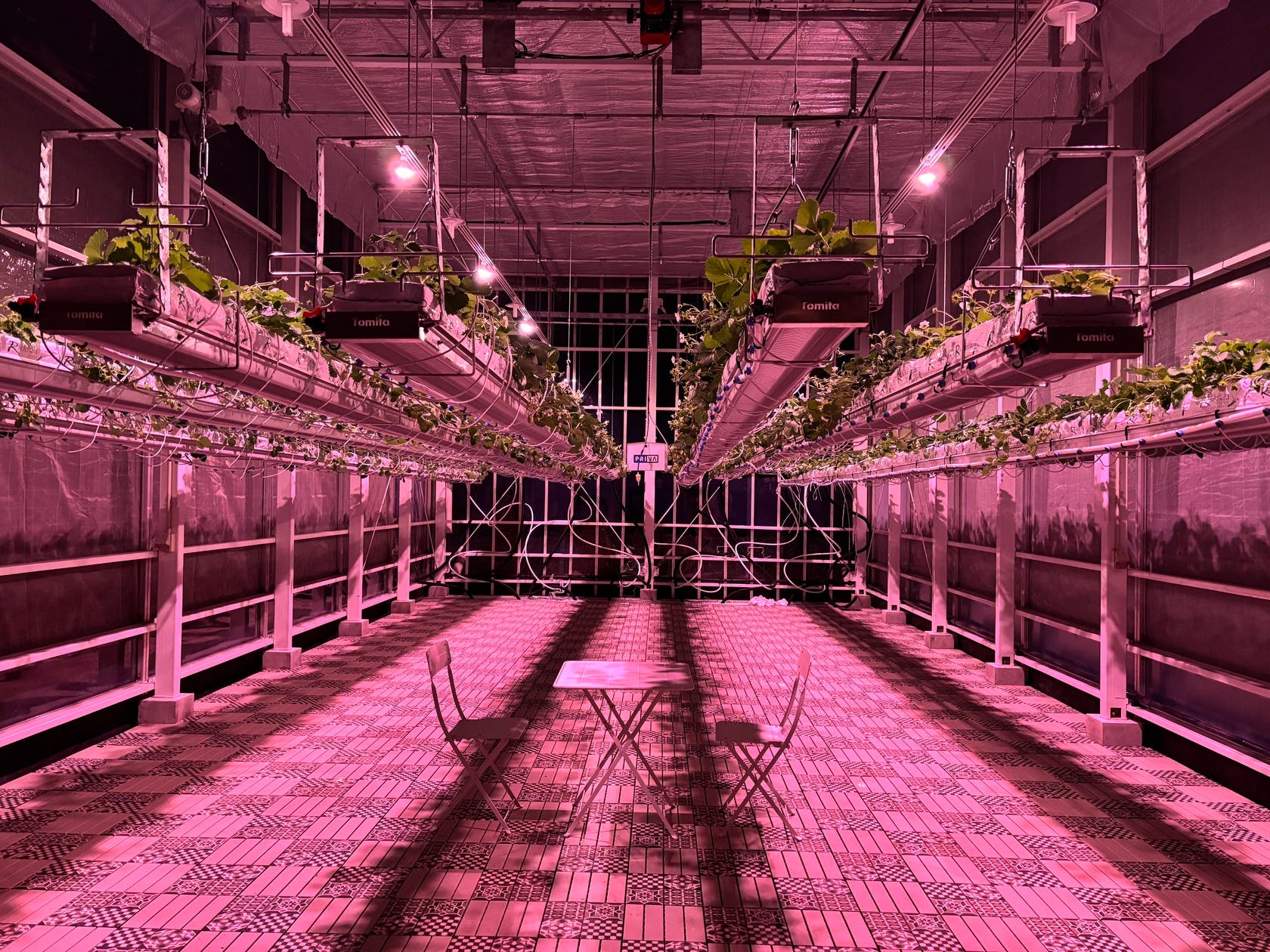 天井7.5Mから苺が吊り下がる「苺空間」を多目的にご利用可能。夜はライトアップ。湘南、貸切パーティー、ロング会議、フォト婚、苺狩の写真4