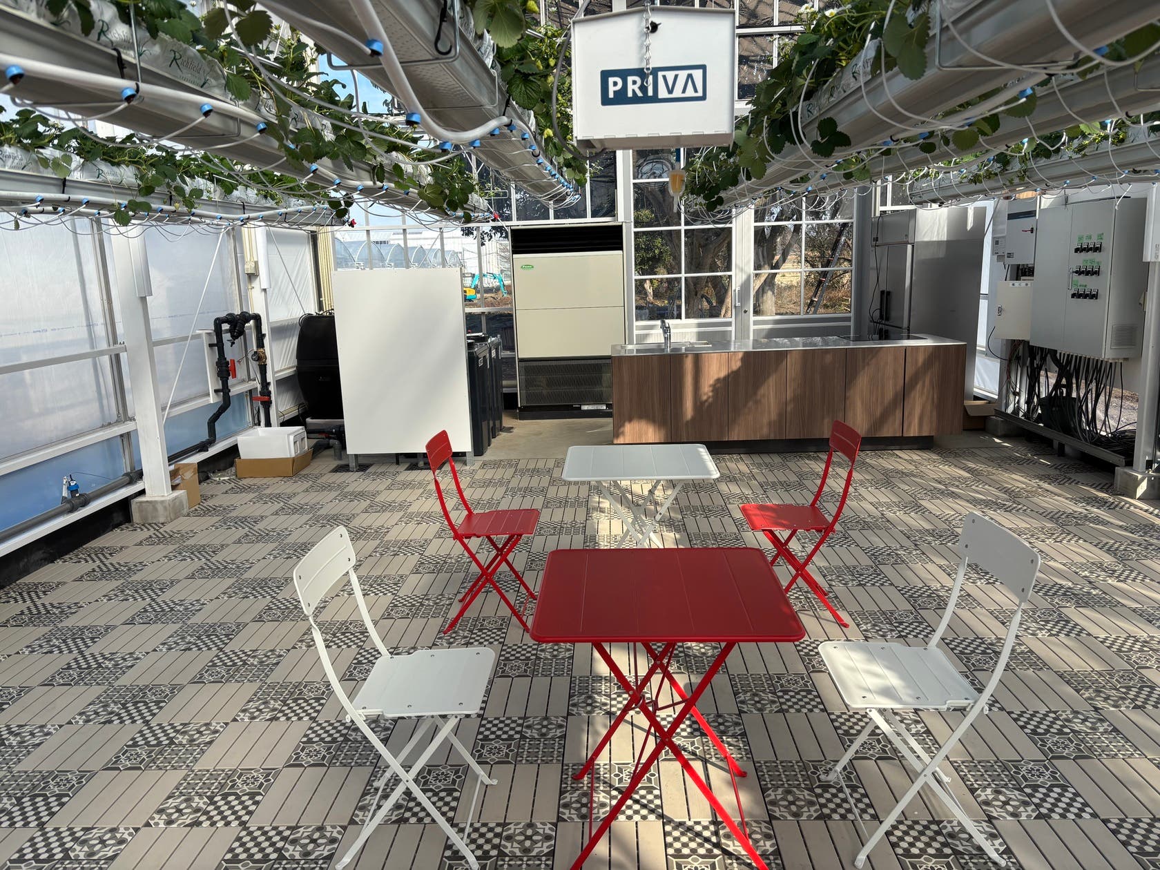 天井7.5Mから苺が吊り下がる「苺空間」を多目的にご利用可能。夜はライトアップ。湘南、貸切パーティー、ロング会議、フォト婚、苺狩の写真9