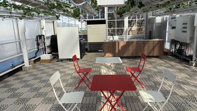 天井7.5Mから苺が吊り下がる「苺空間」を多目的にご利用可能。夜はライトアップ。湘南、貸切パーティー、ロング会議、フォト婚、苺狩の写真9