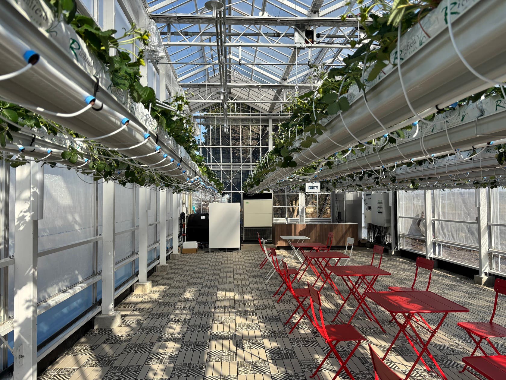 天井7.5Mから苺が吊り下がる「苺空間」を多目的にご利用可能。夜はライトアップ。湘南、貸切パーティー、ロング会議、フォト婚、苺狩の写真10