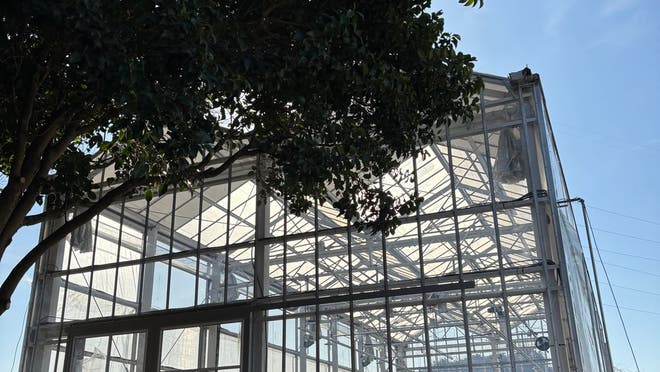 天井7.5Mから苺が吊り下がる「苺空間」を多目的にご利用可能。夜はライトアップ。湘南、貸切パーティー、ロング会議、フォト婚、苺狩の写真11