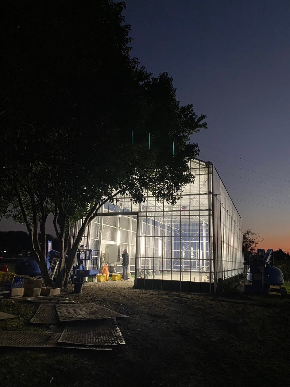 天井7.5Mから苺が吊り下がる「苺空間」を多目的にご利用可能。夜はライトアップ。湘南、貸切パーティー、ロング会議、フォト婚、苺狩の写真12