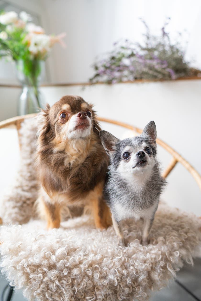 カメラマンによる撮影　40分の画像1