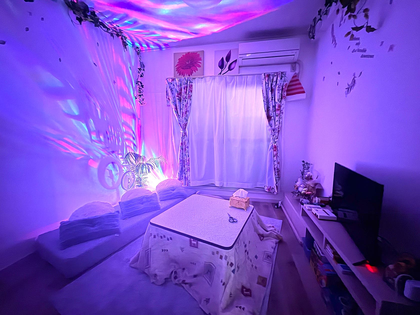 ㊗️新規OPEN特価㊗️いりなか駅スグの最上階❣️2025/11月室内フルリフォーム✨dyson空気清浄&加湿器で清潔空間🤩の写真5