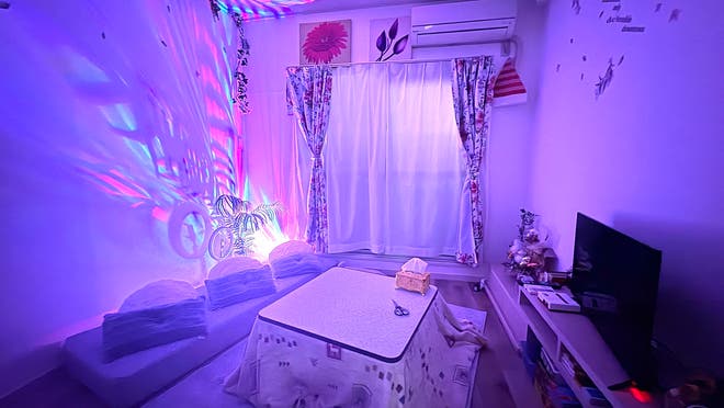 ㊗️新規OPEN特価㊗️いりなか駅スグの最上階❣️2025/11月室内フルリフォーム✨dyson空気清浄&加湿器で清潔空間🤩の写真5