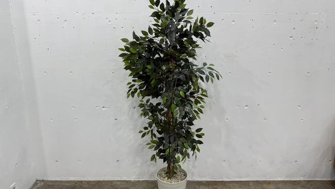 【平日会議室利用限定】栄テレビ塔から徒歩5分の好立地200㎡天井高4.5m 会議室仕様|アルベホール名古屋の写真13