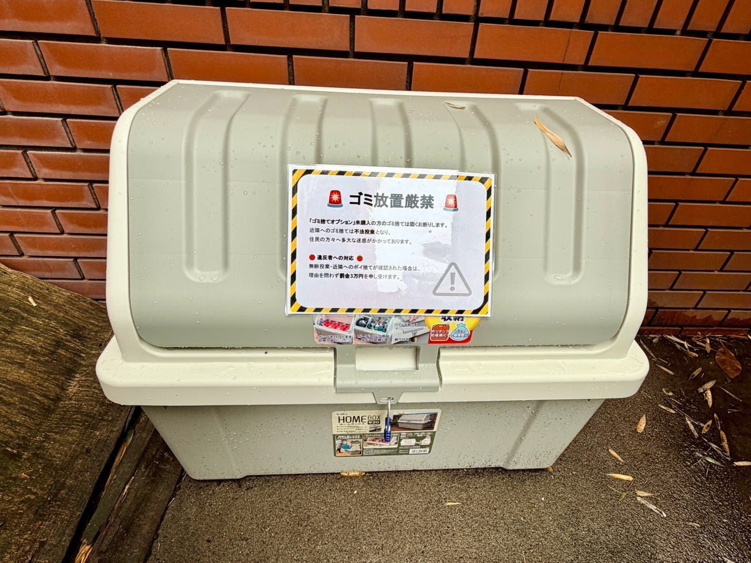 ゴミ捨てオプション半額キャンペーン‼️10000 -> 5000円の画像1