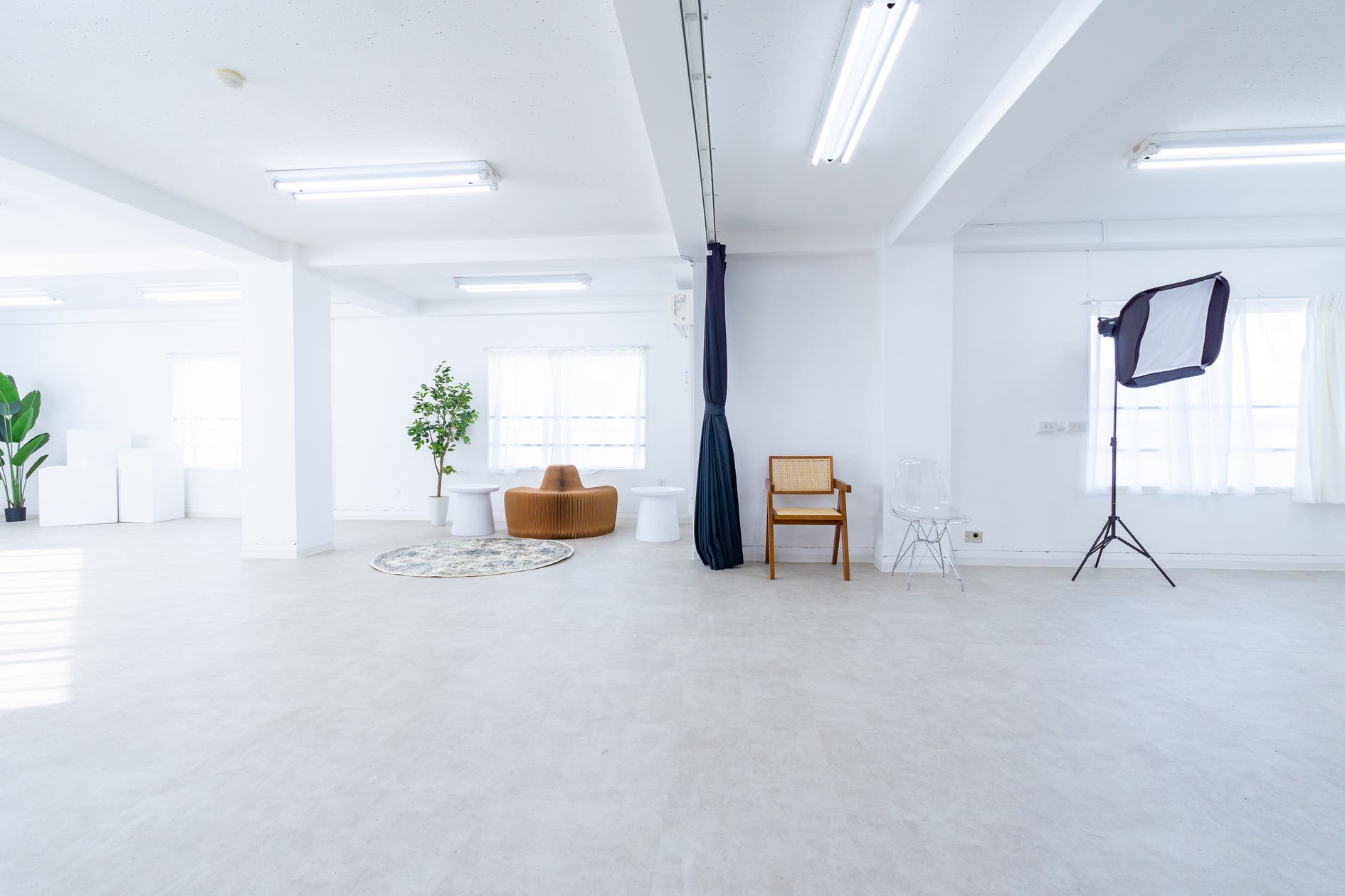 飯田橋駅2分｜自然光 × 二面採光 × アーチ × 白壁 × 植物 × ブランコ｜土足OK｜24時間OKの写真12