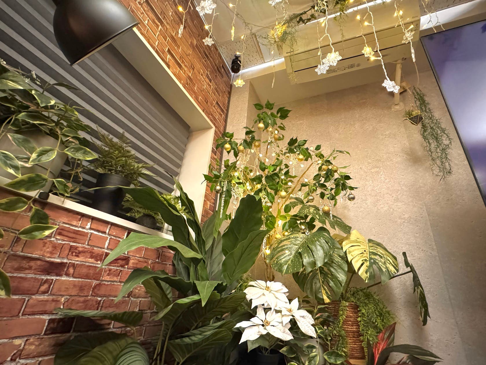 ❄️冬のイルミネーション開催中!!✨神田駅徒歩5分🚃本格電気式ピザ窯🍕75インチ大画面テレビ📺 14名ソファー席🛋️の写真5