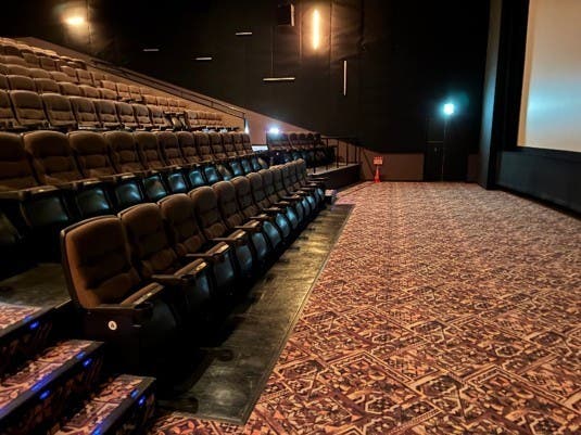 【つくば 232席】映画館で、会社説明会、株主総会、講演会の企画はいかがですか？の写真3