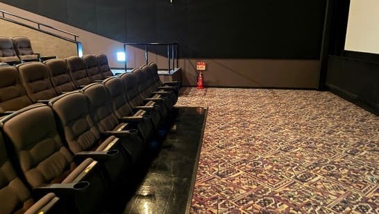 【つくば 127席】映画館で、会社説明会、株主総会、講演会の企画はいかがですか?の写真3