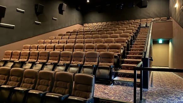 【つくば 117席】映画館で、会社説明会、株主総会、講演会の企画はいかがですか?の写真2