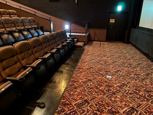 【つくば 117席】映画館で、会社説明会、株主総会、講演会の企画はいかがですか？の写真3