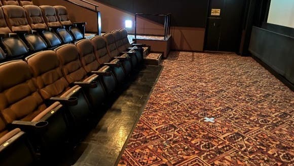 【つくば 117席】映画館で、会社説明会、株主総会、講演会の企画はいかがですか?の写真3