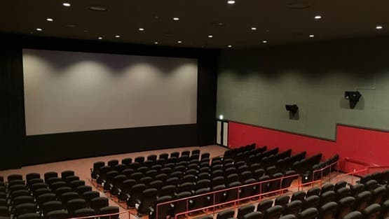 【大河原 265席】映画館で、会社説明会、株主総会、講演会の企画はいかがですか?の写真1
