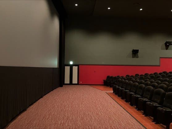  【大河原 265席】映画館で、会社説明会、株主総会、講演会の企画はいかがですか？の写真3