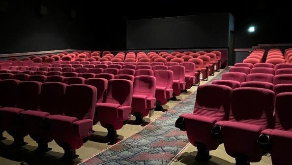 【大津 218席】映画館で、会社説明会、株主総会、講演会の企画はいかがですか?の写真2