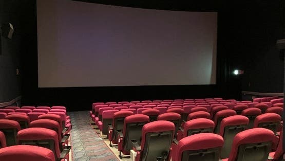 【大津 148席】映画館で、会社説明会、株主総会、講演会の企画はいかがですか?の写真1