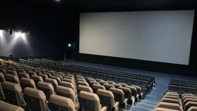 【新潟 309席】映画館で、会社説明会、株主総会、講演会の企画はいかがですか?の写真1