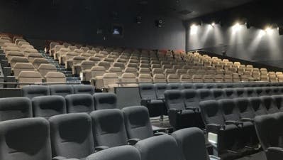【新潟 309席】映画館で、会社説明会、株主総会、講演会の企画はいかがですか?の写真2