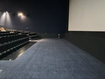 【新潟 253席】映画館で、会社説明会、株主総会、講演会の企画はいかがですか？の写真3