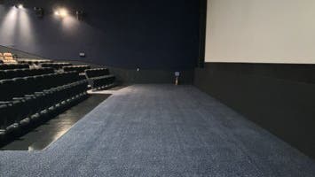 【新潟 253席】映画館で、会社説明会、株主総会、講演会の企画はいかがですか?の写真3