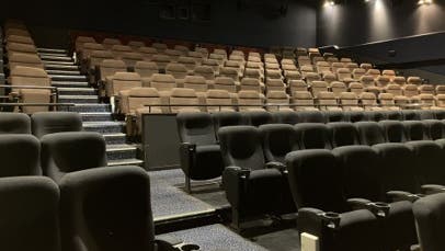 【新潟 219席】映画館で、会社説明会、株主総会、講演会の企画はいかがですか?の写真2