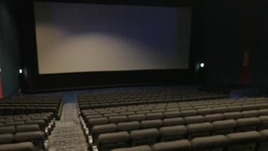 【橿原 479席】映画館で、会社説明会、株主総会、講演会の企画はいかがですか?の写真1