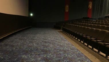 【橿原 479席】映画館で、会社説明会、株主総会、講演会の企画はいかがですか?の写真3