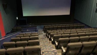 【橿原 150席】映画館で、会社説明会、株主総会、講演会の企画はいかがですか?の写真1